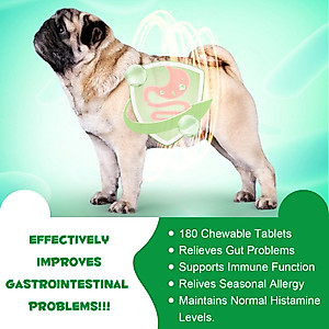 Probiotics for Dogs, 180 Chews Dog Probiotics and Digestive Enzymes, Promotes Gut Health, Dog Probiotics for Bowel Support, Immunity Health