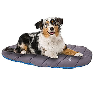 Chuckit! Travel Dog Bed (39"L x 30"W) Water Resistant Blue