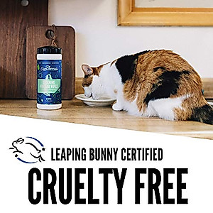 Aunt Fannie's Bundle: Floor Cleaner Vinegar Wash (Eucalyptus) + Vinegar Cleaning Wipes (Eucalyptus)