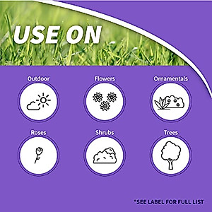 Bonide Rose Shield Systemic Rose & Flower Care, 6 lbs. Ready-to-Use Granules for Long Lasting Protection Against Garden Insects