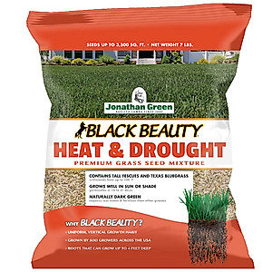 Jonathan Green (10515) Black Beauty Heat & Drought Resistant Grass Seed - Cool Season Lawn Seed (7 lb)