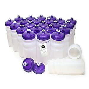 Rolling Sands 20 Ounce Sports Water Bottles 24 Pack, BPA-Free, Made in USA, Dishwasher Safe, Clear Frost Bottles/Purple Lids