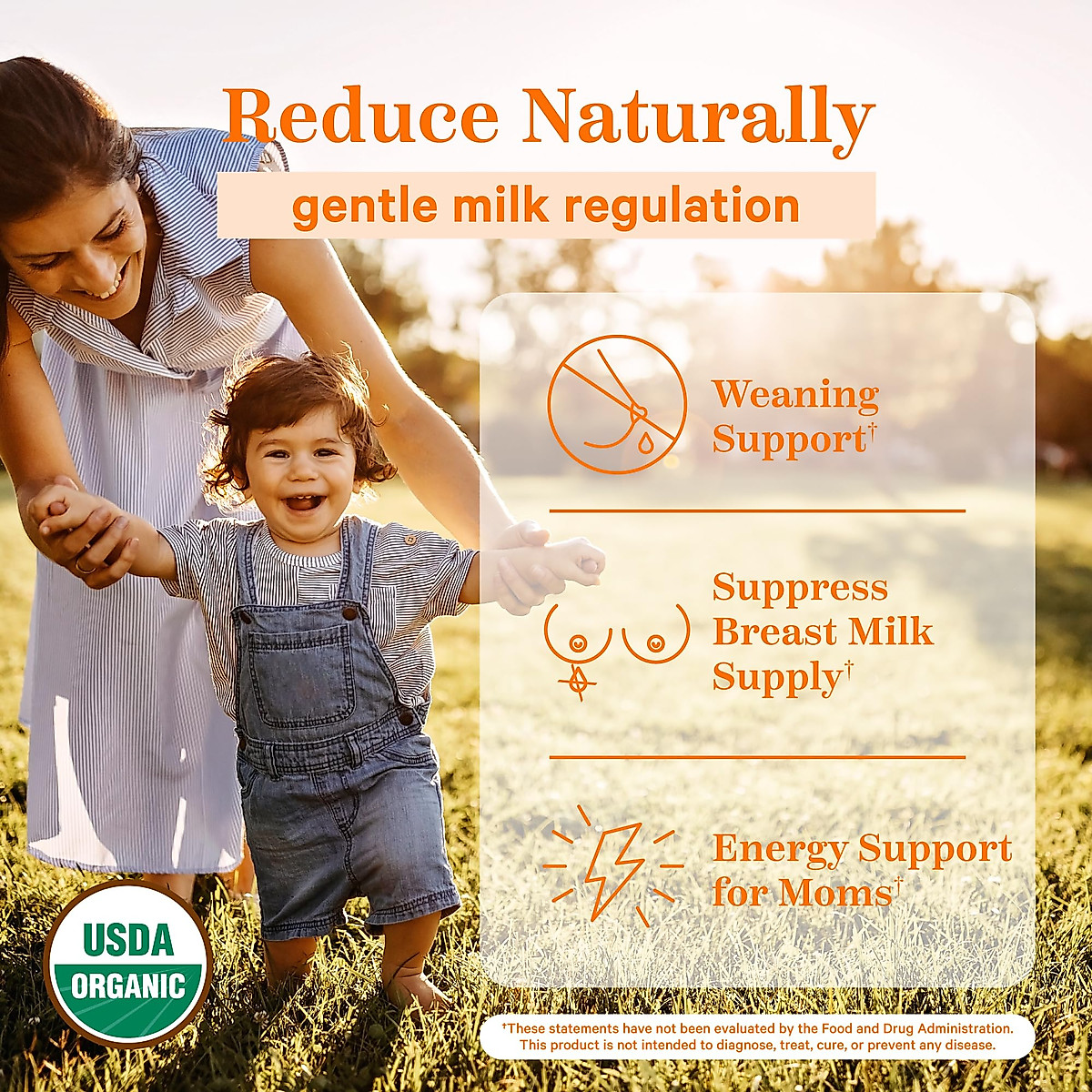 Pink Stork No Flow - Organic Sage Tea to Dry Up Breast Milk Supply and Decrease Milk Production, Stop Breastfeeding, Wean Lactation Naturally, Postpartum Essentials - 15 Sachets