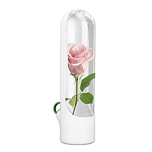 Lwuey Herb Savor Pod, Saver for Refrigerator Fresh Keeper Container Vegetable Preservation Bottle Vanilla Storage Cup Keep Greens Practical Tool Cilantro Mint Leaves Parsley Asparagus Kitchen Home