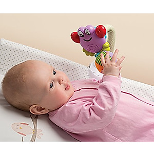 Fun Flex Award Winning 3 Piece Infant Dancing Crab Activity Set: Can Be Used with Baby Stroller, Carrier, High Chair, Crib, or Car Seat.