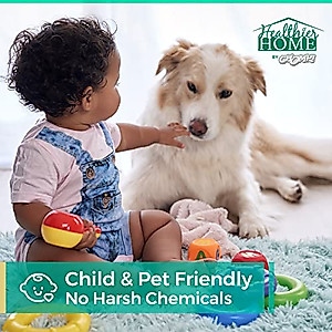 CHOMP! Insect and Pest Control for Home, Bedding and Indoor: Plant-Based Ant, Bed Bug, Dust Mite, Spider and More - Mint Scent 2-Pack, 24 Oz R2U, 24oz 3X Concentrate