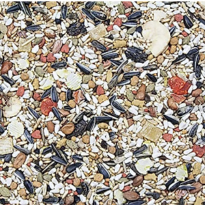 Higgins 2 Pack of Vita Seed Natural Blend Conure and Lovebird Food, 5 Pounds Each