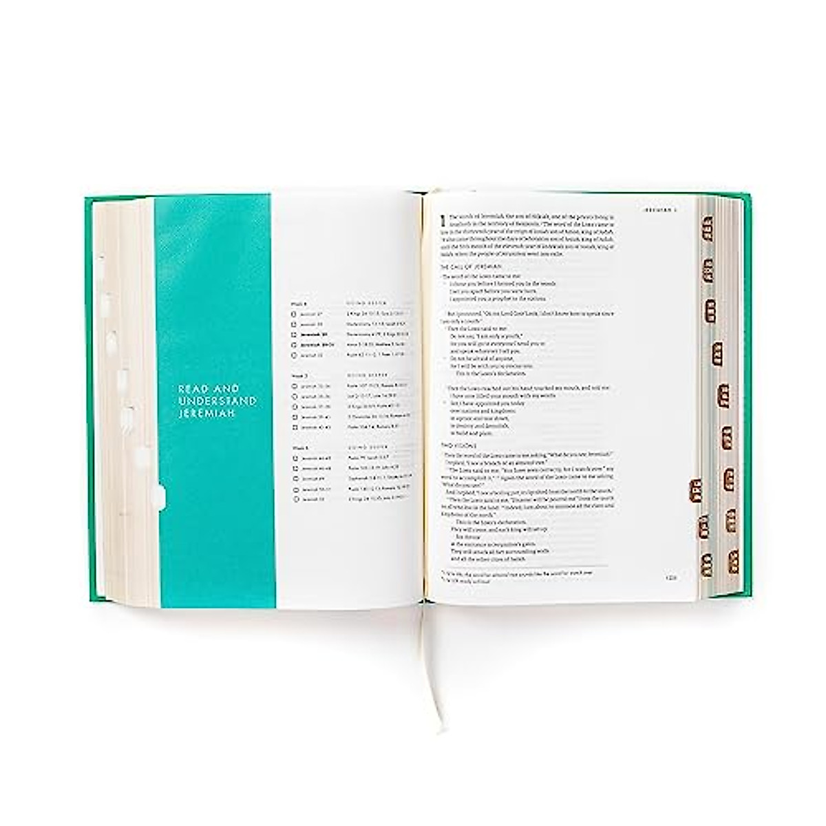 CSB She Reads Truth Bible, Emerald Cloth Over Board, Indexed, Limited Edition, Black Letter, Full-Color Design, Wide Margins, Journaling Space, Devotionals, Reading Plan, Easy-to-Read Serif Type
