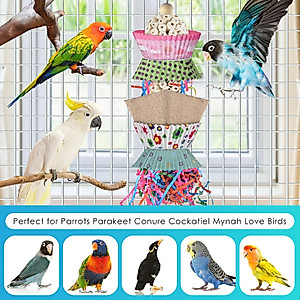 Bissap Conure Toys, Bird Parrot Foraging Shredder Hanging Toys 2 Sola Balls Wooden Block Tassels with Bell for Small Parrots Parakeets Conures Cockatiels Love Birds Cage Toy