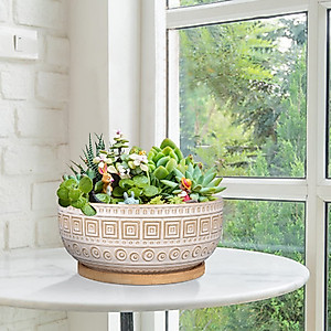 G EPGardening 8 Inch Ceramic Succulent Planter Pots for Indoor Plants Round Shallow Bonsai Planter Pot with Drainage and Bamboo Saucer White