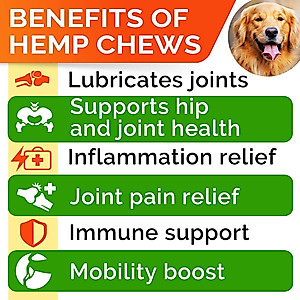 Salmon Oil Omega 3 for Dogs + All-Natural Hemp Chews and Glucosamine for Dogs - Advanced Hip & Joint Supplement + 32oz Fish Oil - Allergy Relief - Itch Relief, Shedding - Skin and Coat Supplement
