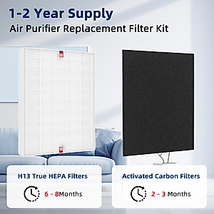 APPLIANCEMATES C545 Replacement Filter S for Winix C545 Air Purifier, Replace 1712-0096-00 2522-0058-002, 2 × H13 Ture HEPA Filters + 8 × Activated Carbon Filters