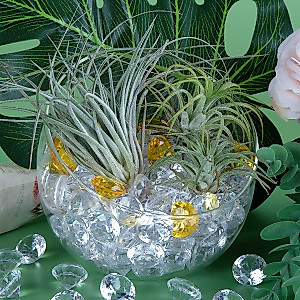 Babenest Acrylic Diamond Fake Gems Vase Filler, 240pcs 3/4 Inch Faux Diamonds Crystals Jewels for Table Scatters Wedding Party Event Arts & Crafts Birthday Decoration Favor (Clear)