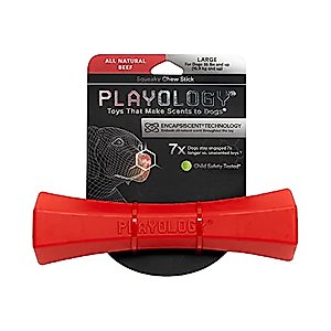 Playology Squeaky Chew Stick Dog Toy, for Large Dogs (35lbs and Up) - for Moderate Chewers - Engaging All-Natural Beef Scented Toy - Non-Toxic Materials