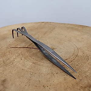 Bonsai Outlet Root Rake with Tweezers - Tinyroots Gardening Tools for Repotting and General Care of Your Tree or Houseplants