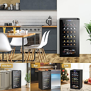 Winado 28-Bottle Dual Zone Compressor Wine Cooler, Freestanding Compact Mini Wine Fridge with Adjustable Temperature, Digital Control & Removable Shelves for Wine Storage