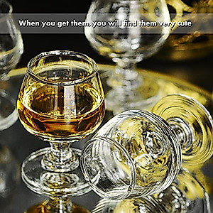 Valeways Shot Glasses, 1.75oz Mini Shot Glass Set of 6/Clear Shot Glasses/Super Cute Shot Glasses/Perfect for Tasting Brandy/Glass Snifters