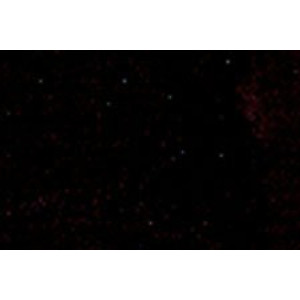 Pro-Mark® Touch Up Wood Markers (Black-M267-0001) - for Scratch Repair and Touch-Ups on Wood Furniture: Tables, Desks, Frames, Bed Posts and Trim- by Mohawk Finishing Products