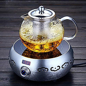 Warmyee Hofu Small Clear High Borosilicate Glass Tea Pot with Removable 304 Stainless Steel Infuser, Heat Resistant Loose Leaf Teapot,Stovetop Safe, 660 ml/22.3 Ounce.