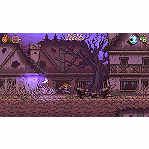 3goo Battle Princess Madelyn NINTENDO SWITCH REGION FREE JAPANESE VERSION