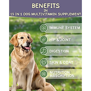 15 in 1 Dog Multivitamin Supplement - Dog Vitamins for Immune System, Digestion, Hip & Joint, Skin & Coat - Multivitamin Chews for Dog with Glucosamine & Chondroitin - Chicken Flavor, 120 Chews
