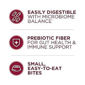 Purina ONE Small Bites Beef and Rice Formula Small High Protein Dry Dog Food Natural with Added Vitamins, Minerals and Nutrients - 31.1 lb. Bag