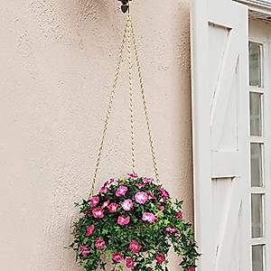 RIFNY 5 Sets Gold Hanging Basket Chain, 20 Inch Heavy Duty Brass Decorative Chains for Hanging Plants, Indoor Outdoor Replacement Hanging Chain with Hooks for Planters Flower Pots Lantern Bird Feeder