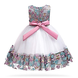 NSSMWTTC Flower Girls Dresses Frocks Child Easter Pageant Party Baby Toddler Easter A Line Dress 9M 12 Months (Pink,12M)