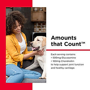 Nutri-Vet Hip & Joint Chewable Dog Supplements - Formulated with Glucosamine & Chondroitin for Dogs - 180 Count