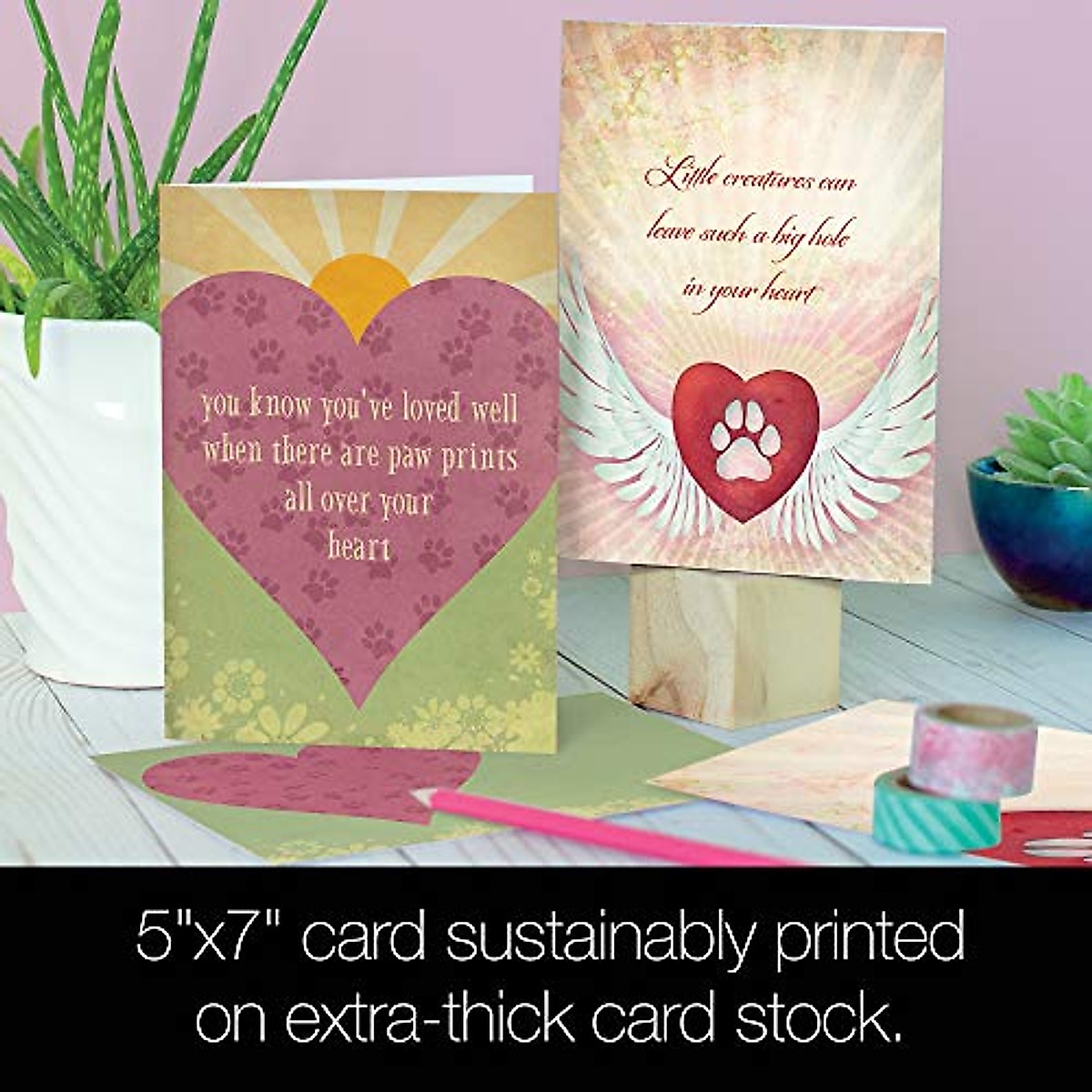 Tree-Free Greetings Forever Friends Pet Sympathy Card Assortment, 5 x 7 Inches, 8 Cards and Envelopes per Set (GA31528)