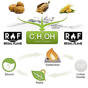 Regal Flame Premium Ventless Bio Ethanol Fireplace Fuel - 36 Quart, (36BFUEL)