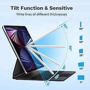 Stylus Pen for iPad 2018-2022 with a extra Nib, LasAnclas Digital Pencil with Palm Rejection& Magnetic Adsorption& Tilting Detection for smooth Drawing& Writing, for Apple iPad tablet (Pro, Air, Mini)