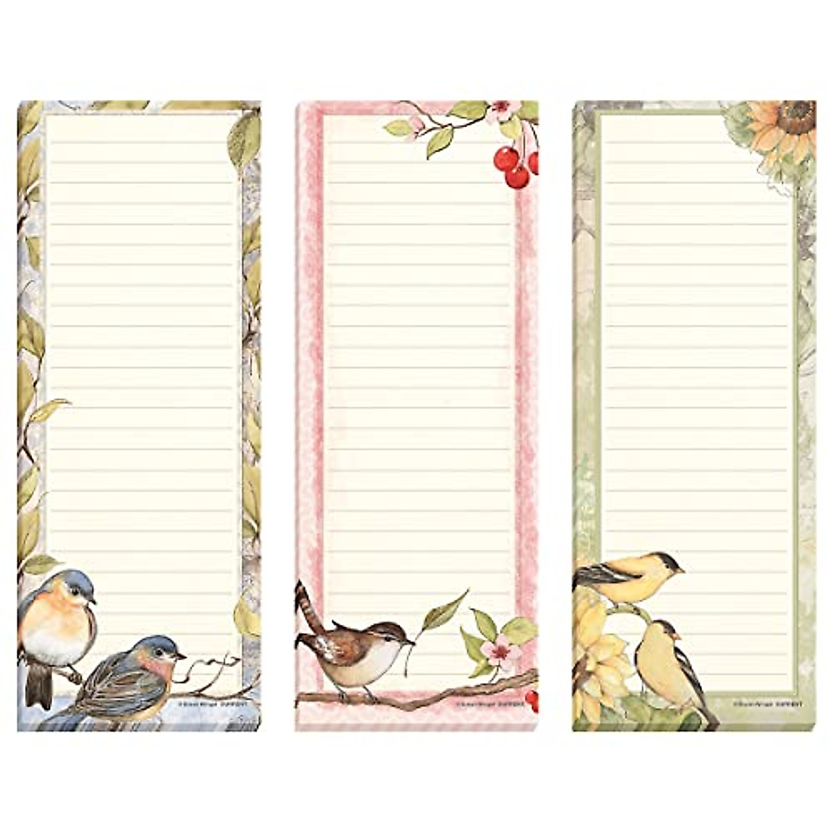Current Seasonal Birds Magnetic Notepad Set – Set of 12 Mini Memo Pads, 12 Designs, 30-Sheet Pads, 2½ x 6½ Inches, Shopping List, To-Do Notes, Printed in The USA
