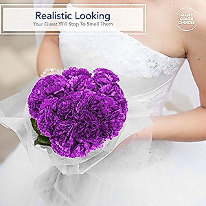 Royal Imports Artificial Carnations, Silk Faux Flowers, for Funeral Arrangements, Wedding Bouquets, Cemetery Wreaths, DIY Crafts - 100 Single 5" Stems - Green