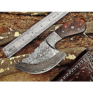 6.7"5 long compact Hand Forged Damascus Steel wide blade skinning Knife with 3.5" cutting, Natural Walnut scale with Damascus Bolster, Cow Hide leather sheath (wood)