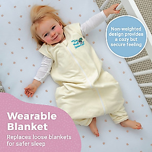 Magic Sleepsuit Baby Merlin's Baby Merlin's Magic Dream Sack Walker Microfleece Baby Wearable Blanket - Blue - Magic Merlin Sleepsuit Baby Sleep Sack 12-18 Months - Blue