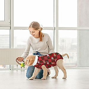 Mairbero Dog Surgery Recovery Suit Female/Male- Onesies for Dogs, Post Spay Neuter,Recovery Suit for Dogs Cats After Surgery,Substitute E-Collar & Cone Prevent Licking
