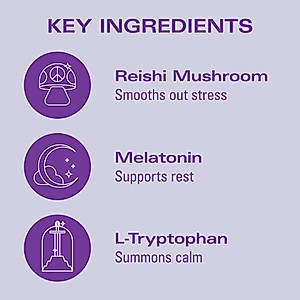 Dream Light by Kin Euphorics, Non Alcoholic Spirits, Nootropic, Botanic, Adaptogen Drink, Earthy Oak, Smoky Clove and Spicy Cinnamon, Soothe The Spirit and Quiet The Mind, 16.9 Fl Oz