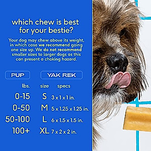 Native Pet Yak Chews for Dogs (Bulk Size - 10 Medium Chews). Pasture-Raised and Organic Himalayan Churpi Chew. Long Lasting, Low Odor, and Protein Rich Reward Treat.