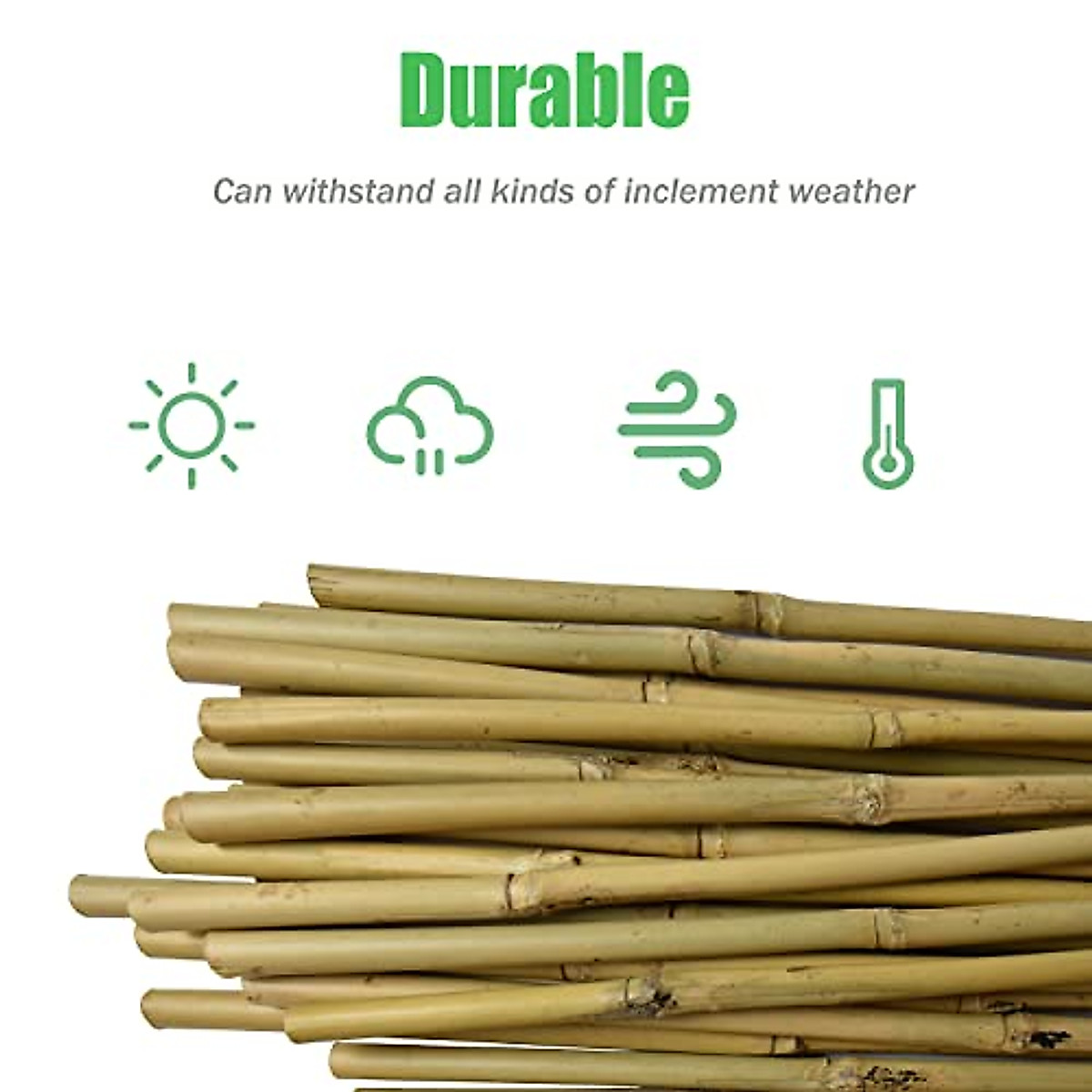 Jollybower 3/4" D Thicker Heavy Duty Bamboo Stakes,6FT Plant Stakes,Natural Garden Stakes for Tomato,Bean,Flowers,Trees Potted and Climbing Plant Support-Pack of 9 Bamboo Stick