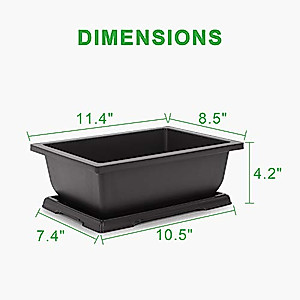 GROWNEER 3 Packs 11 Inches Bonsai Training Pots with 15 Pcs Plant Labels, Plastic Bonsai Plants Growing Pot for Garden, Yard, Office, Living Room, Balcony and More