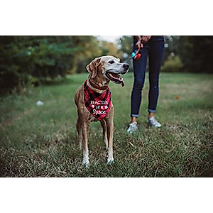Ptzizi Funny Red Plaid Cotton Triangle Dog Bandana, Reactive Give Me Space Dog Scarf Small Medium Large Boys Girls Pet Dog Birthday Party Decorations Gifts for Pet Dog Lovers