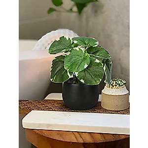 Briful 3PCS Fake Plants Potted Artificial Plants Mini Faux Plants in Black Ceramic Pots Greenery Décor for Home Office Table Room Farmhouse Indoor Decoration