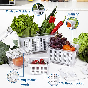 food containers storage