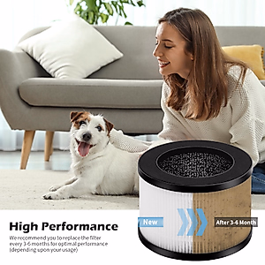 XBWW 2 Packs BW301 Replacement Filters Compatible with MORFY BW301 and AGILEBOW BW301 Air Cleaner Purifier, 3 in 1 filter with H13 True HEPA and Activated Carbon FIlter with Extra 4 Pieces Aroma pads