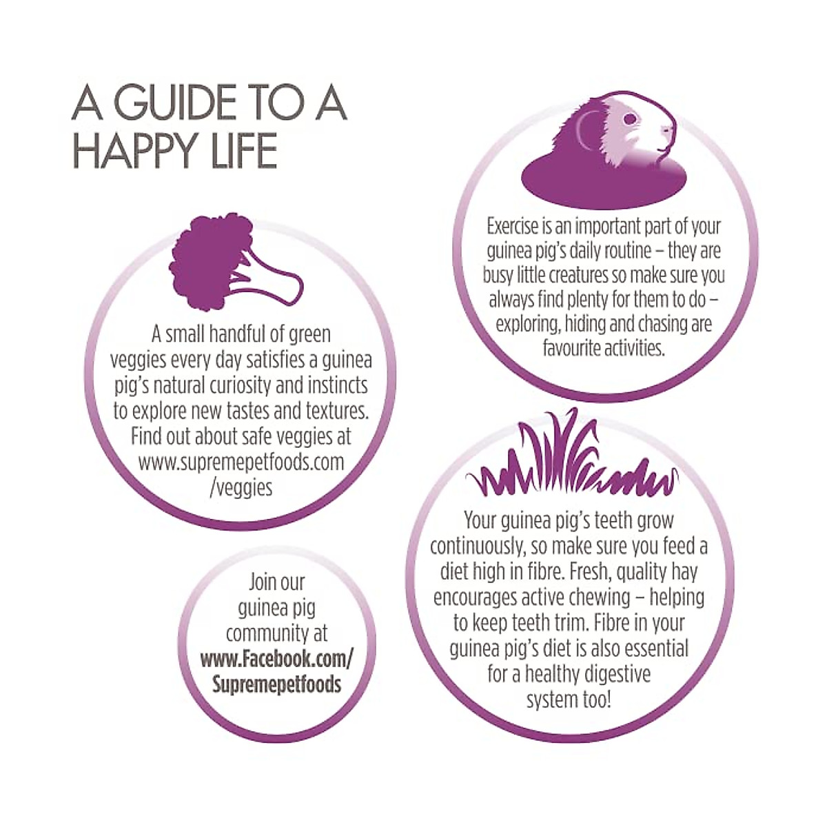 Supreme Science Selective Guinea Pig Food 4lbs