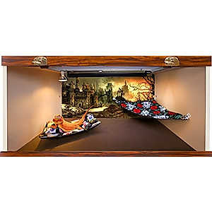 CAROLINA CUSTOM CAGES Reptile 22" T5HO UVB + Single GU10 Basking Light Fixture