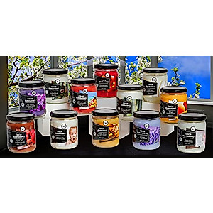 Lilac Blossom Two Pack Odor Eliminating Highly Fragranced Candle - Eliminates 95% of Pet, Smoke, Food, and Other Smells Quickly - Up to 80 Hour Burn time - 12 Ounce Premium Soy Blend