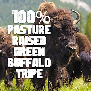 Xdog Green Buffalo Tripe Dog Training Treats by True Beast | Premium Grain Free Dog Treat Made w/Pure Freeze Dried Tripe | Grass Fed, All Natural, No Additives | Made in The USA | Raw Dog Treats