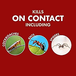 Spectracide Bug Stop Home Barrier Spray, Kills Ants, Roaches and Spiders On Contact, Indoor and Outdoor Insect Control, 1 Gallon